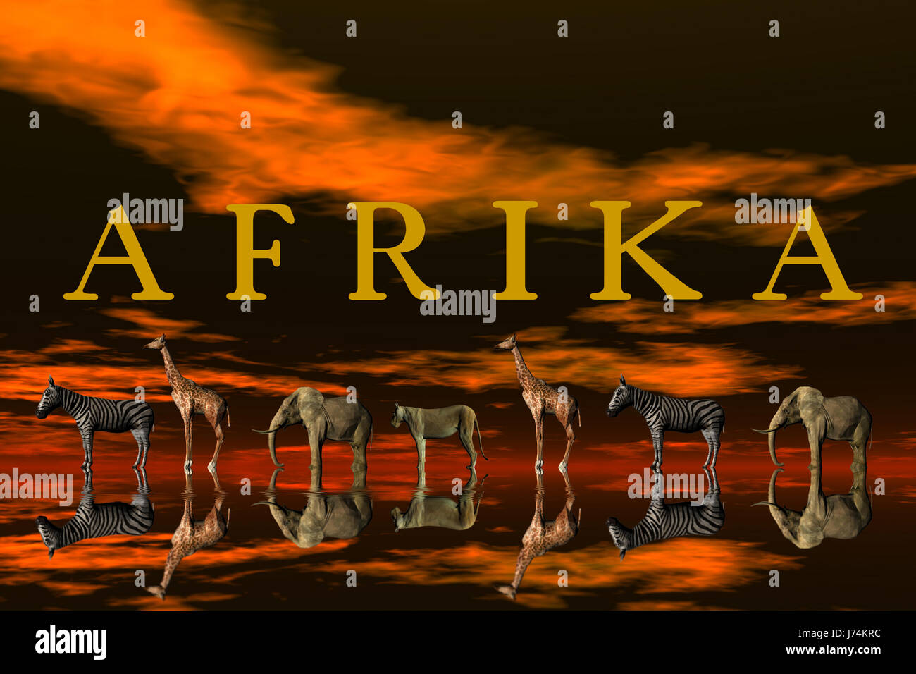 wild africa elephant animals elephants collage giraffe savage haggardly ...