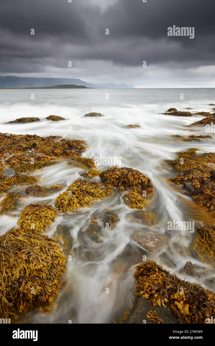 rock algae iceland block surf water surfing water nature travel stone ...