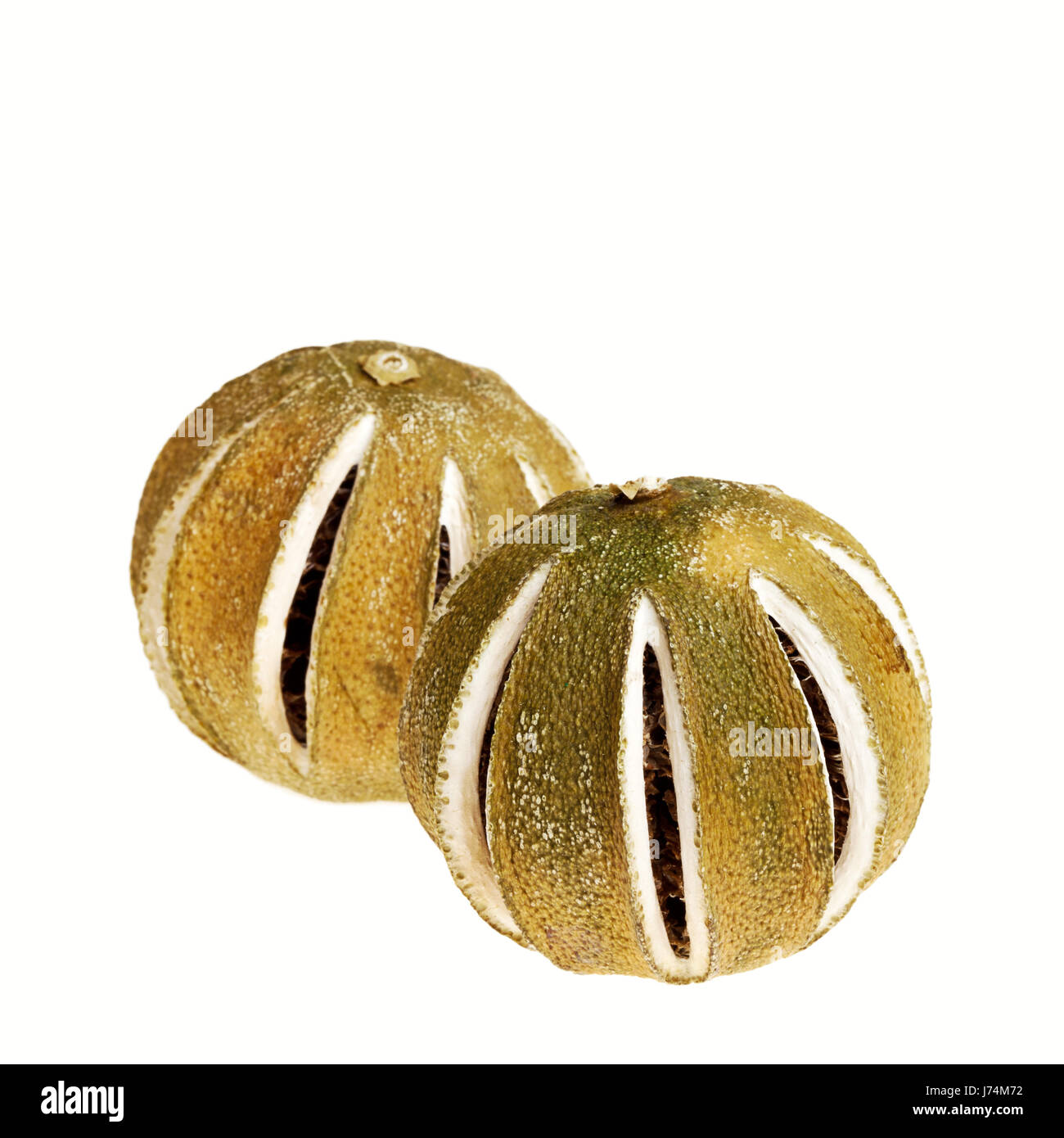 citrous fruit dry dried up barren dried orange lemon citron apart extra ...