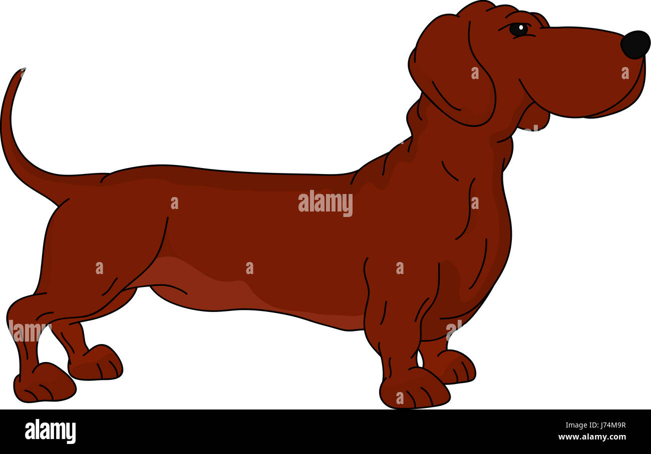 colour dog illustration paint draw cartoon isolated colour animal pet ...
