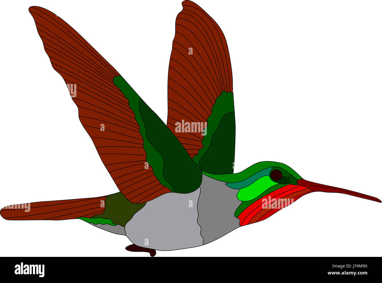 colour illustration paint hummingbird draw cartoon art isolated colour ...