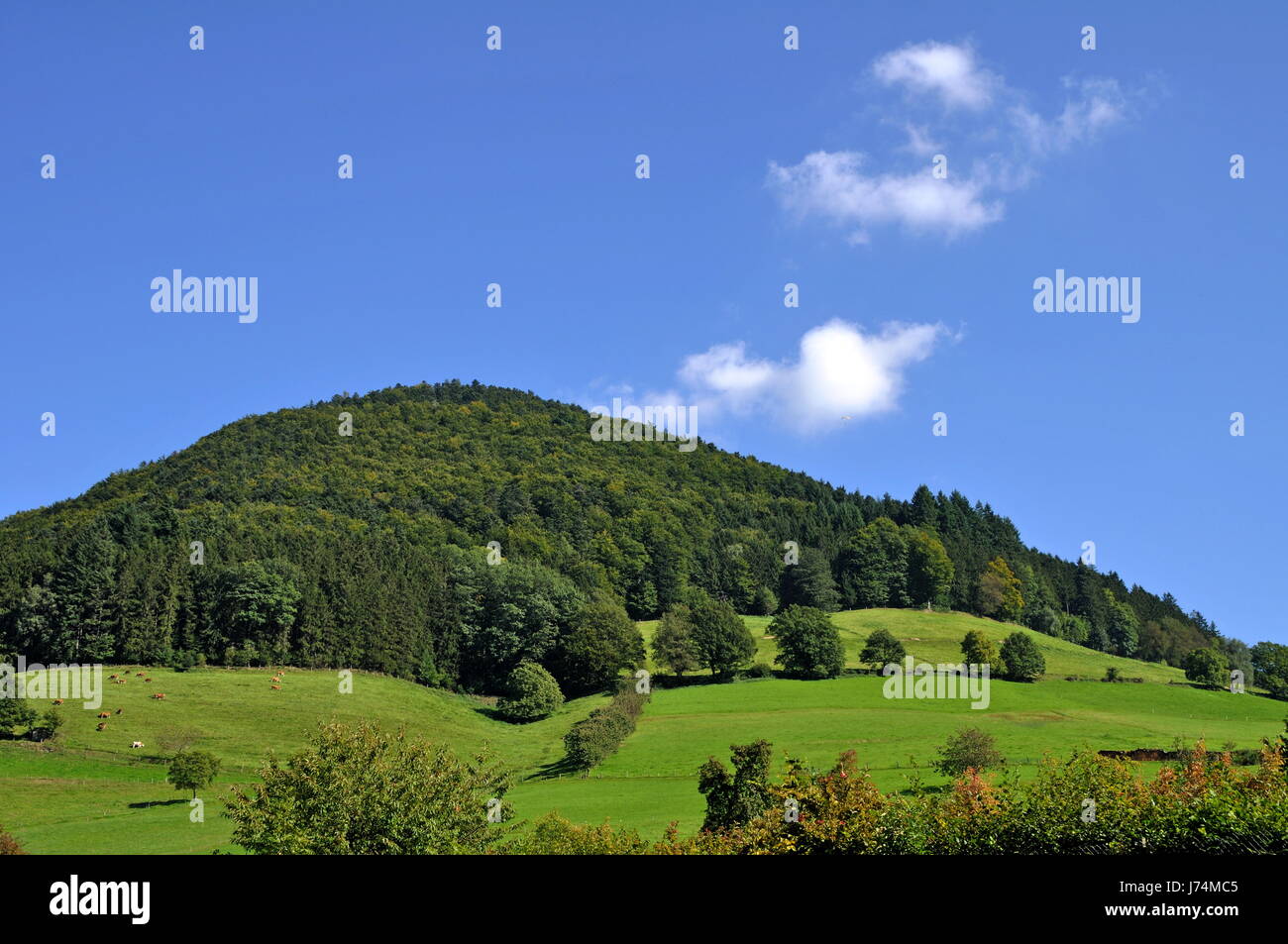 black forest landscape Stock Photo - Alamy