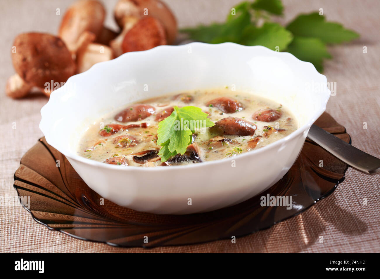 kitchen cuisine food dish meal mushroom fungus lunch vegetarian supper ...