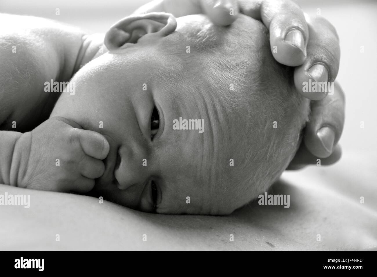 born human human being small tiny little short baby child girl girls ...