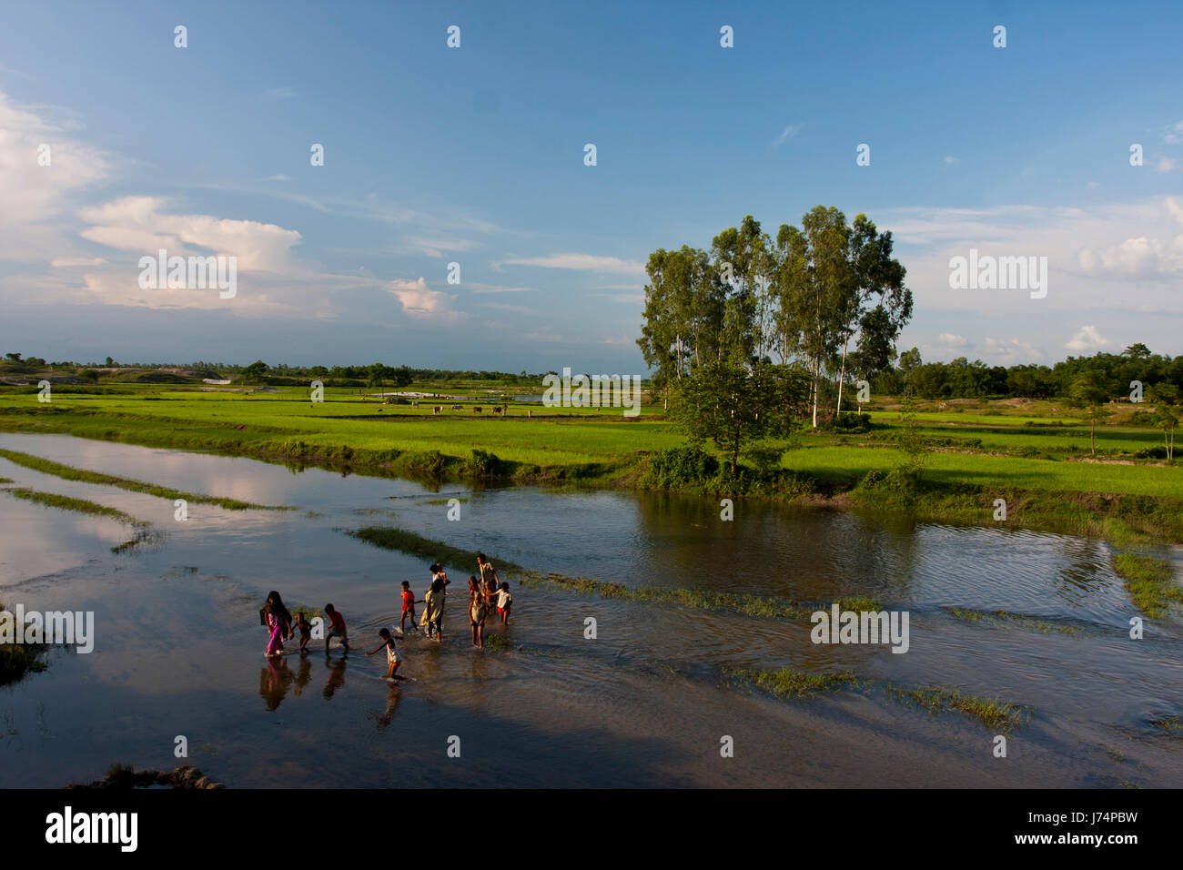 Beautiful landscape of Dahuk Riverbank at Tetulia. Panchagarh ...