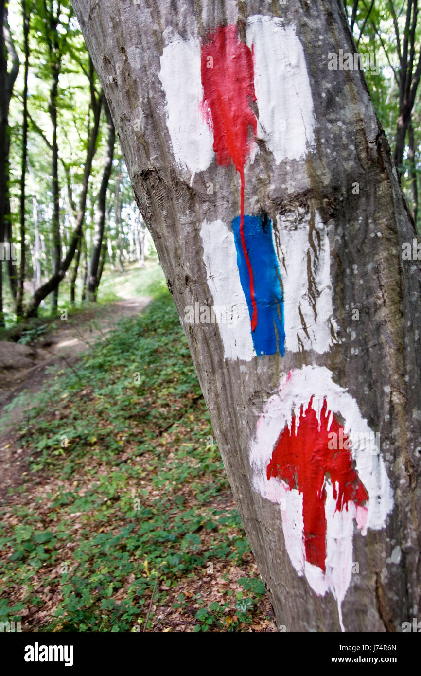 tree wood tourist mark sign bark red blue colour tree green wood ...