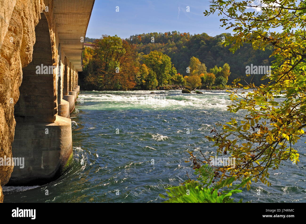 rhine chute season river water fall autumn rhine switzerland connection ...