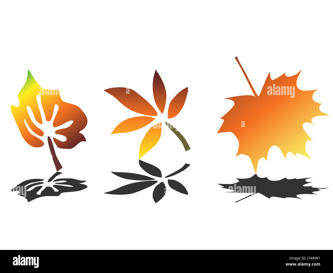 leaf flower plant flora flourishes backdrop background floral nature ...