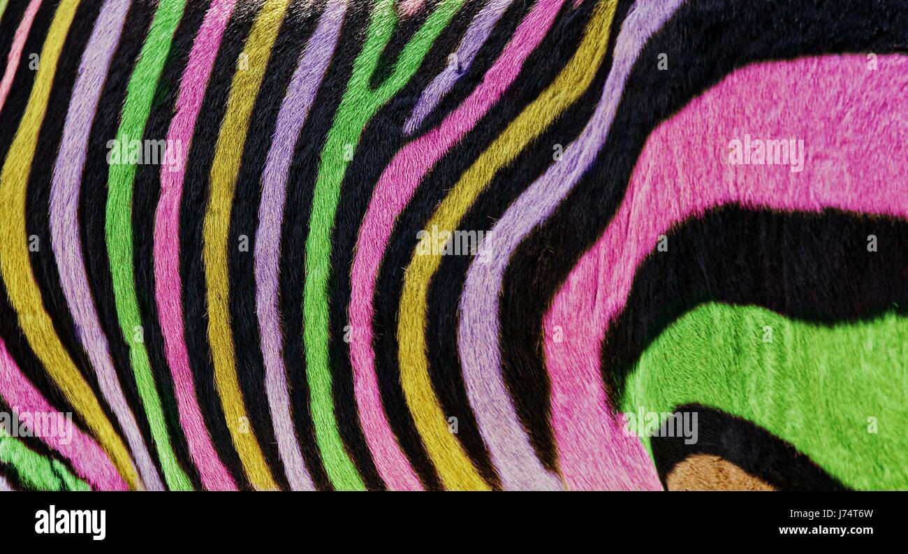 africa coloured colourful gorgeous multifarious richly coloured skin ...