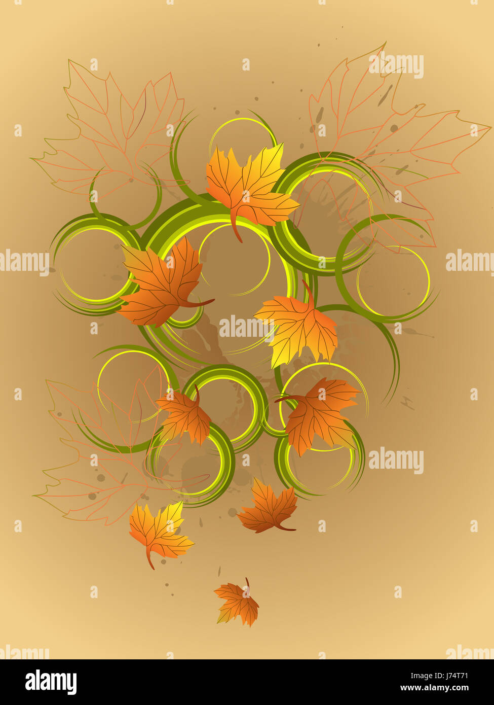 leaf flower plant flora flourishes backdrop background floral nature ...