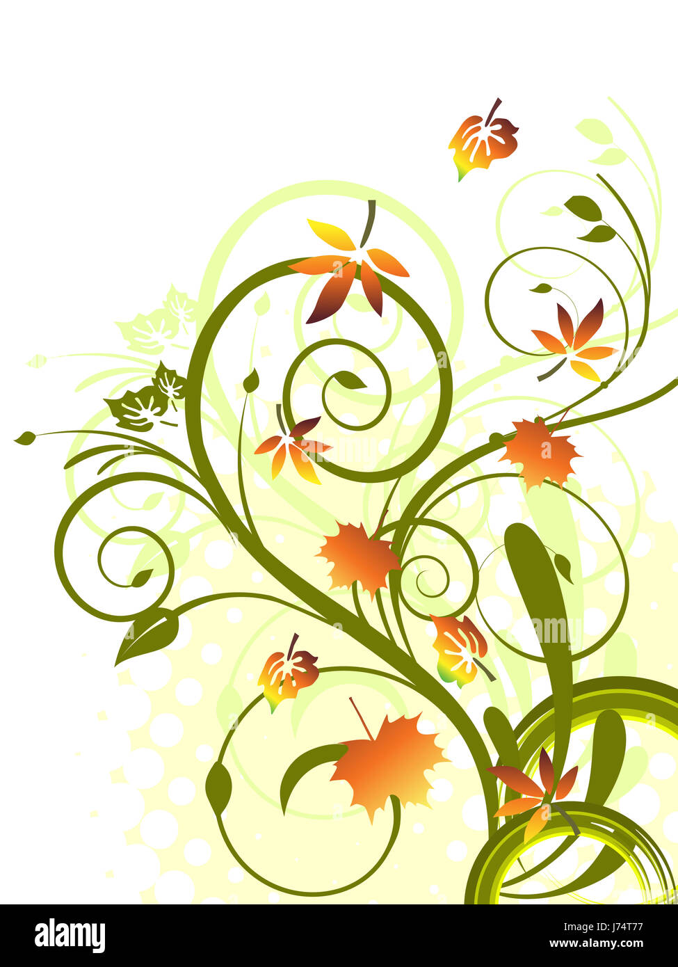 leaf flower plant flora flourishes backdrop background floral nature ...