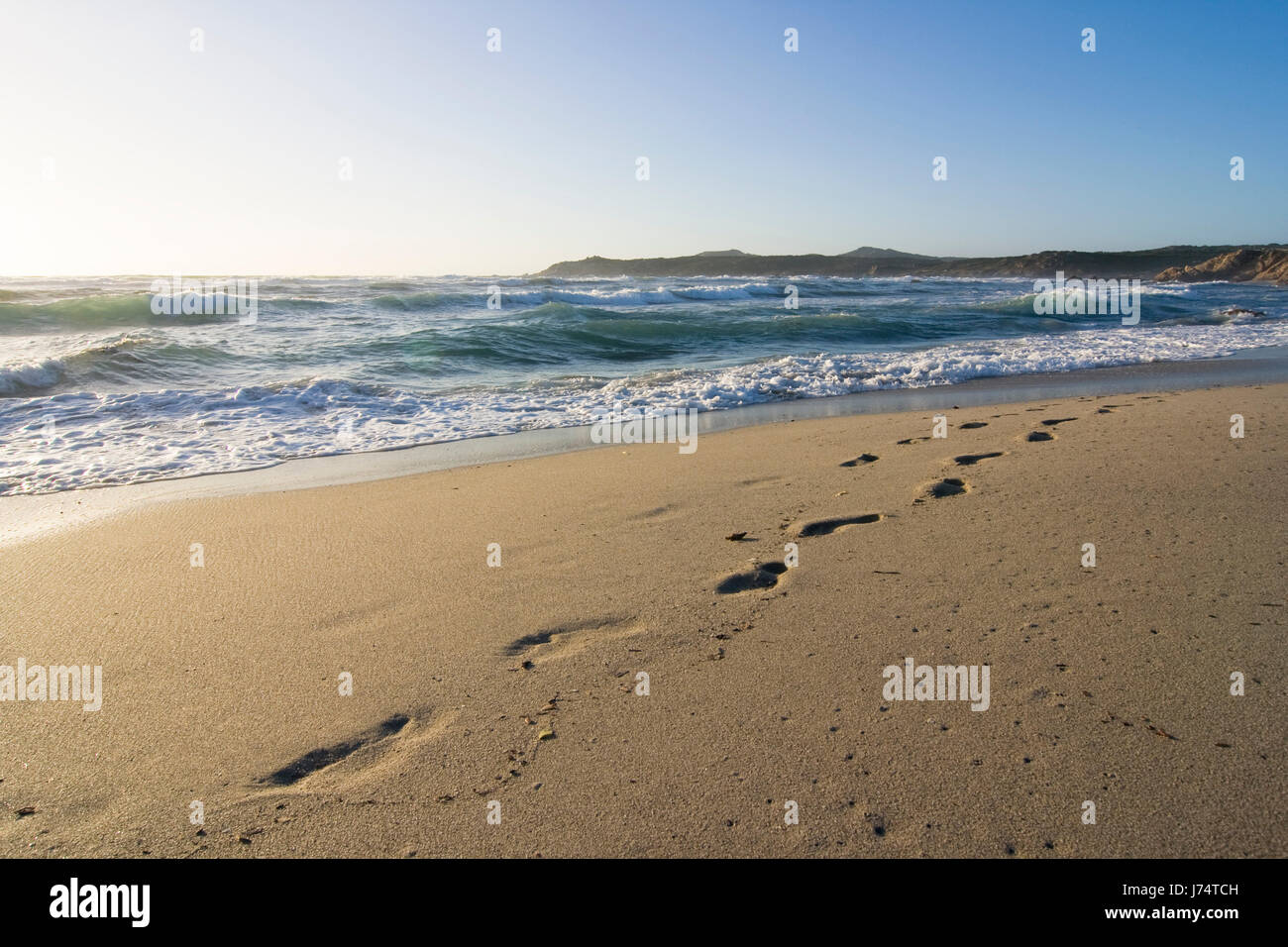 beach seaside the beach seashore coast footsteps trace salt water sea ...