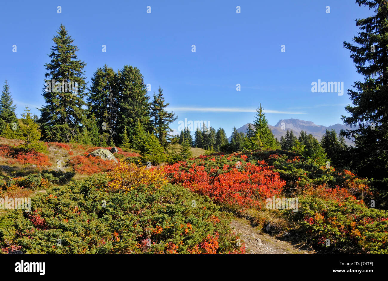 coloured colourful gorgeous multifarious richly coloured hike go hiking ...