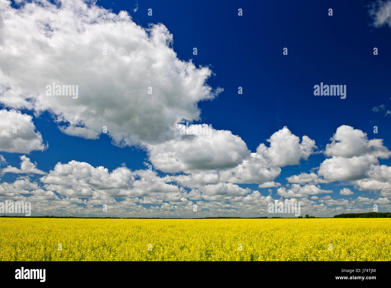 agriculture farming field canada farm blue agricultural environment ...