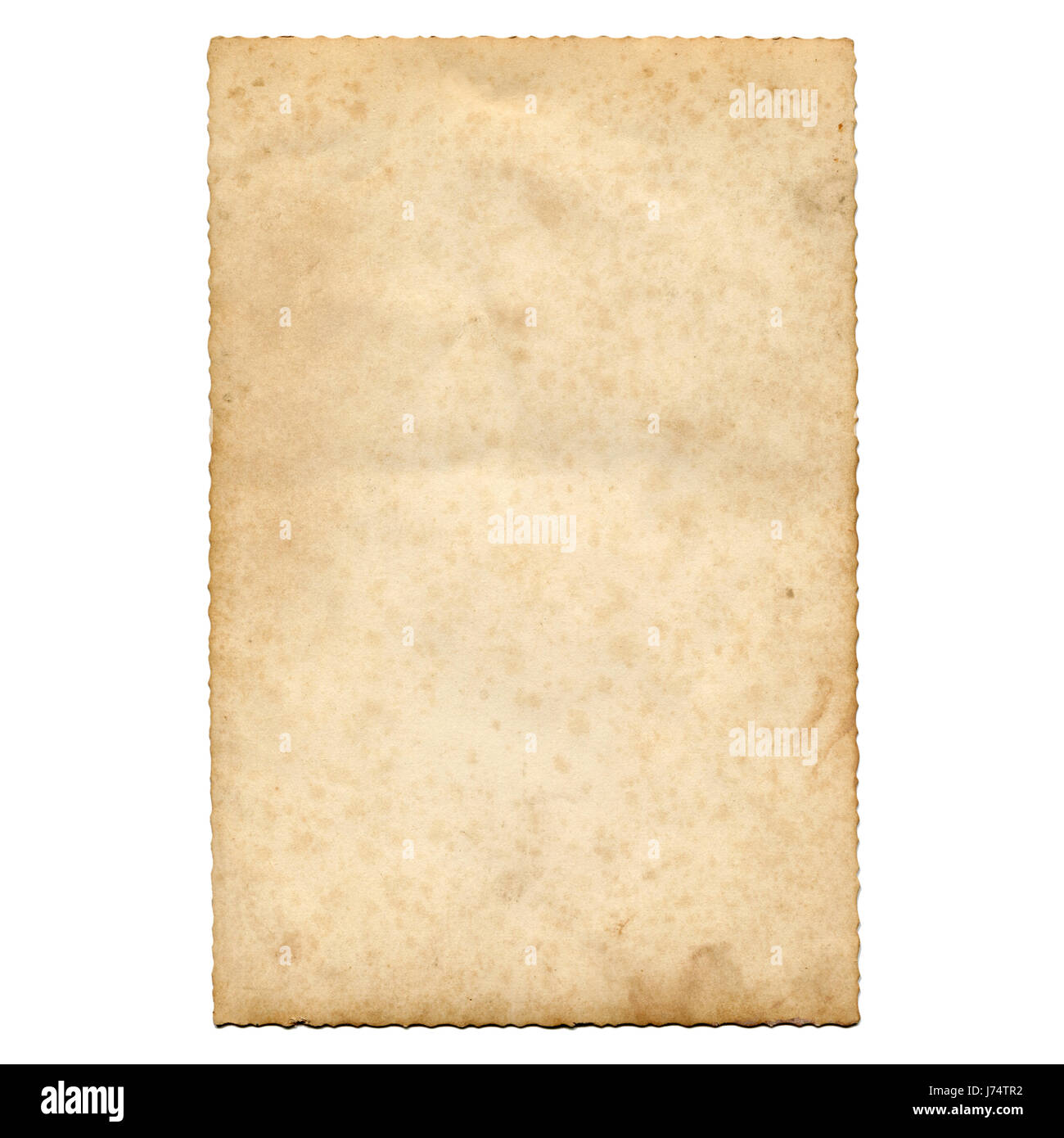 tool object objects thing blank european caucasian uninhabited postcard ...