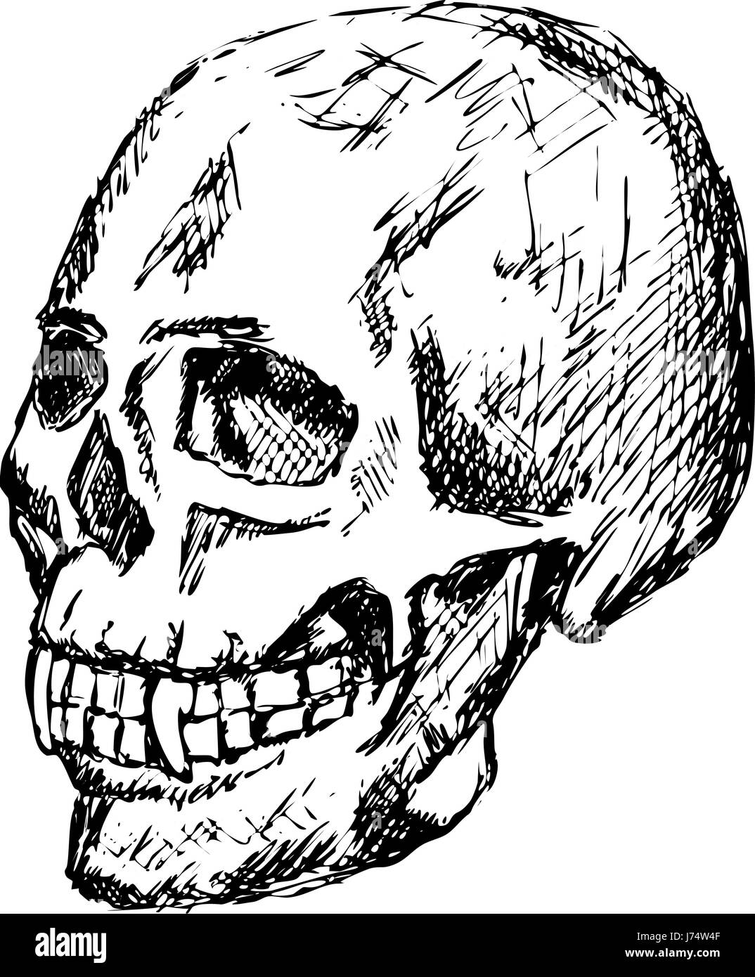 isolated colour illustration skull paint draw cartoon humans human ...