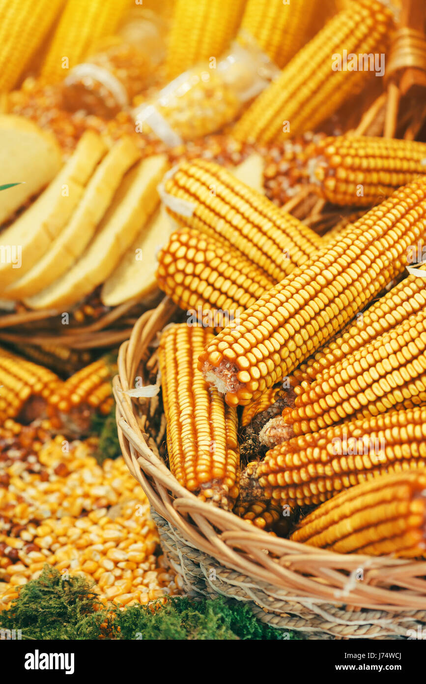 Hybrid corn crop hi-res stock photography and images - Alamy