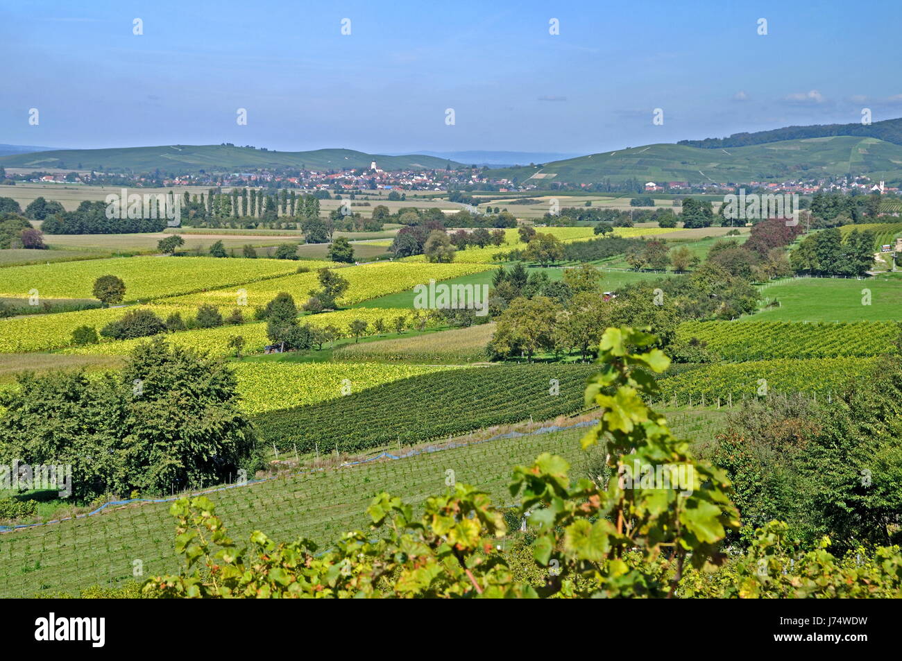 Markgrfler land hi-res stock photography and images - Alamy