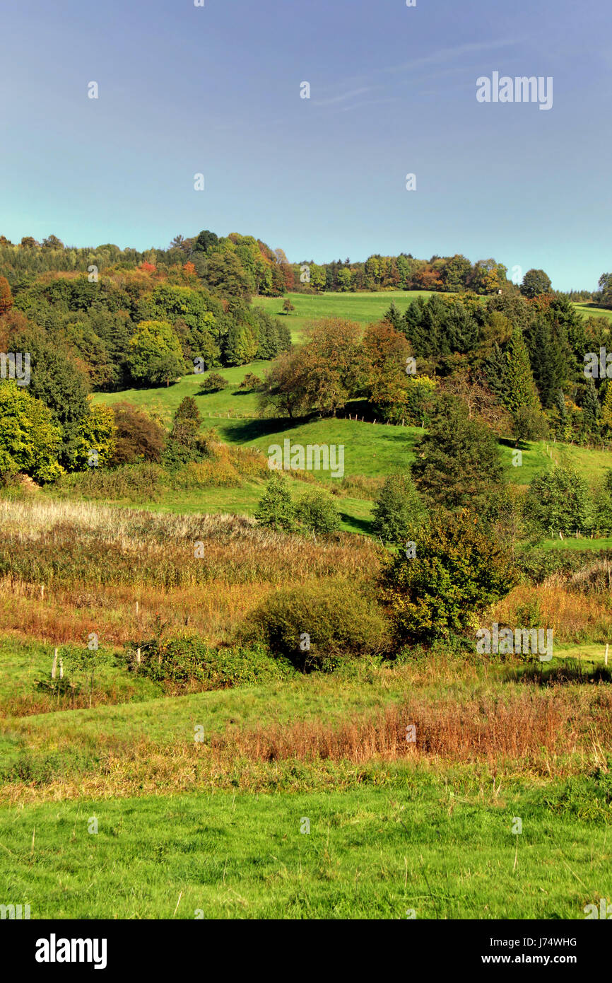 Grnlandhecke High Resolution Stock Photography and Images - Alamy