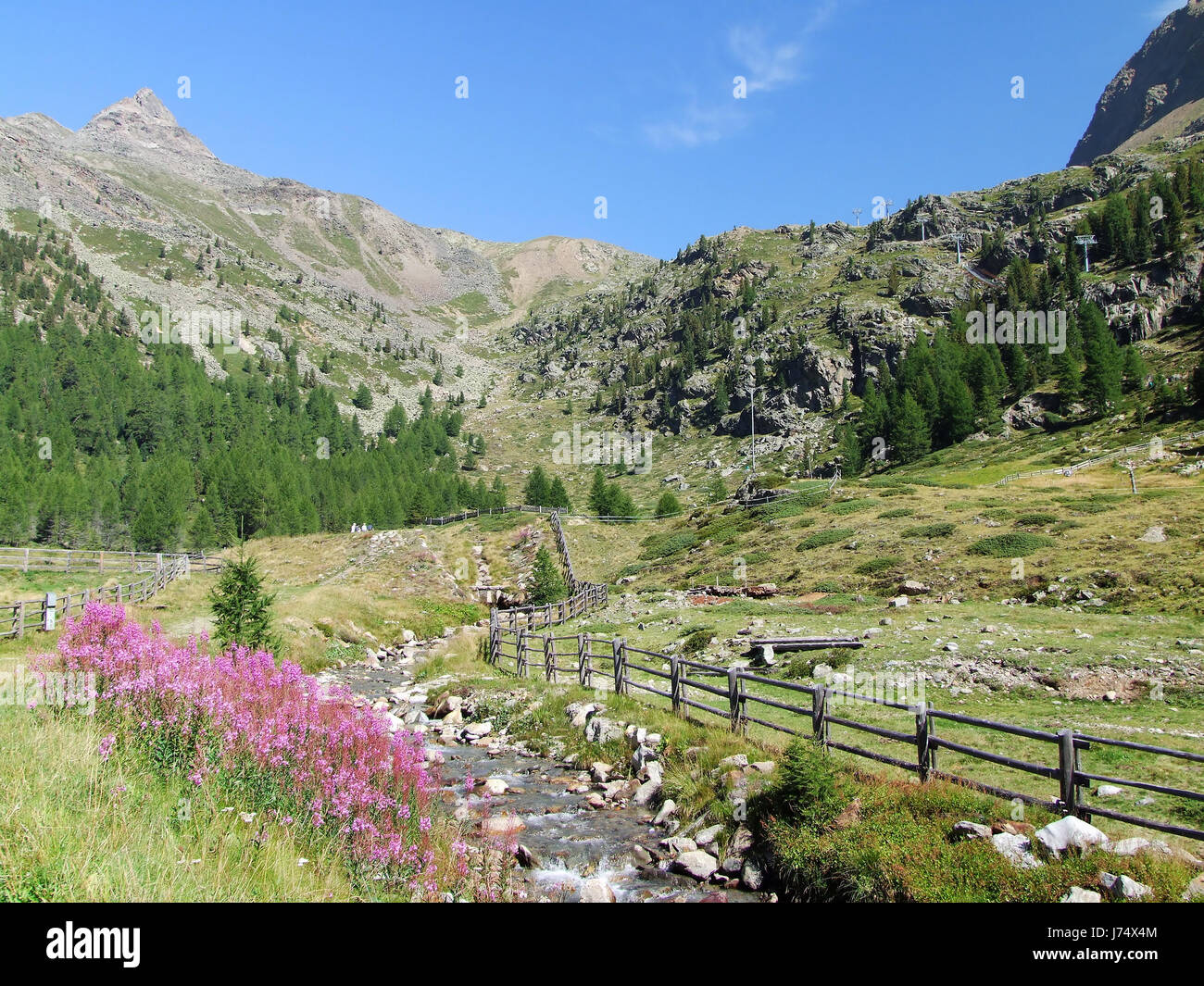 mountain landscape with bach Stock Photo - Alamy