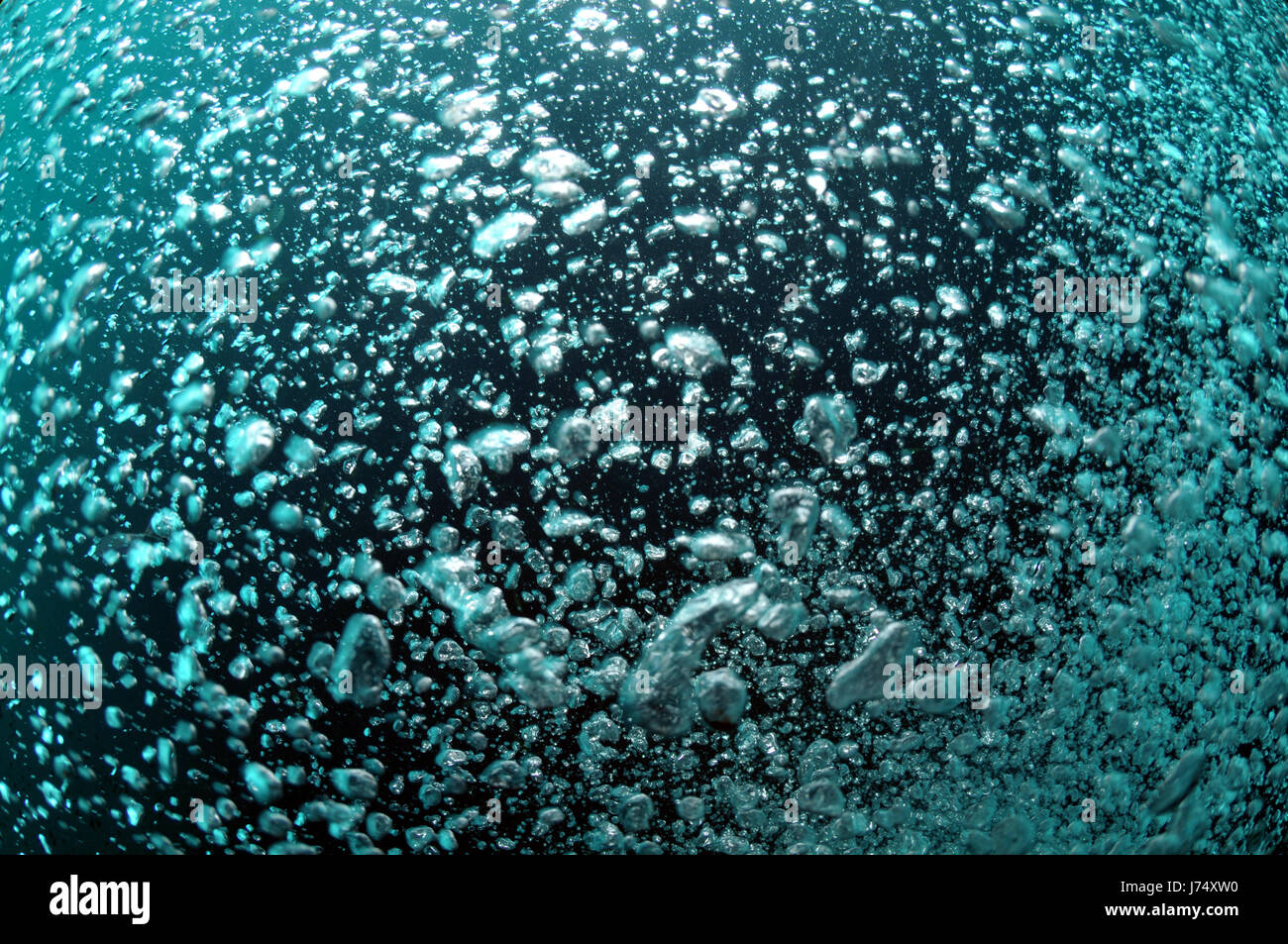 refreshment bubbles blow bubble dive oxygen air refreshment underwater ...