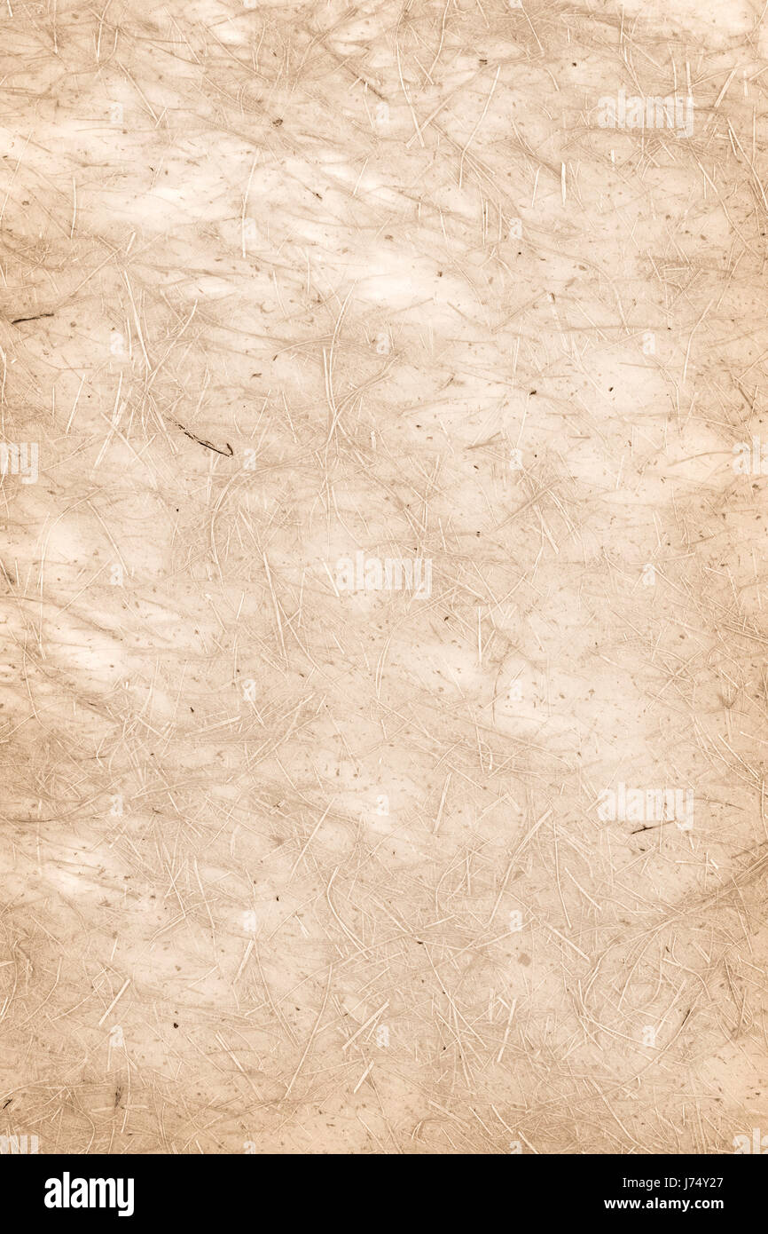 textured sheet of paper paper backdrop background vellum parchment ...