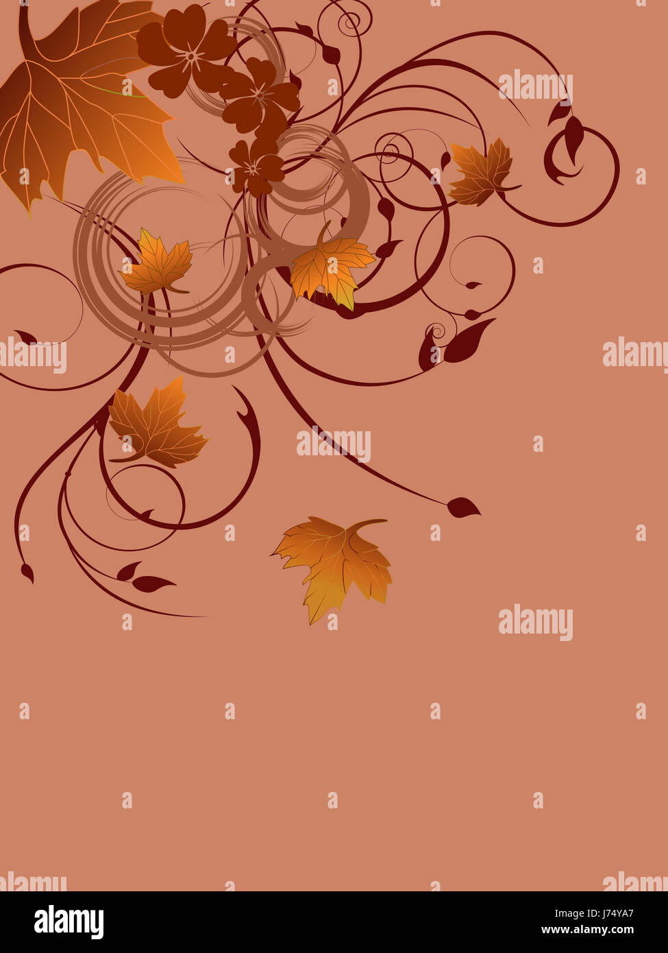 leaf flower plant flora flourishes backdrop background floral nature ...