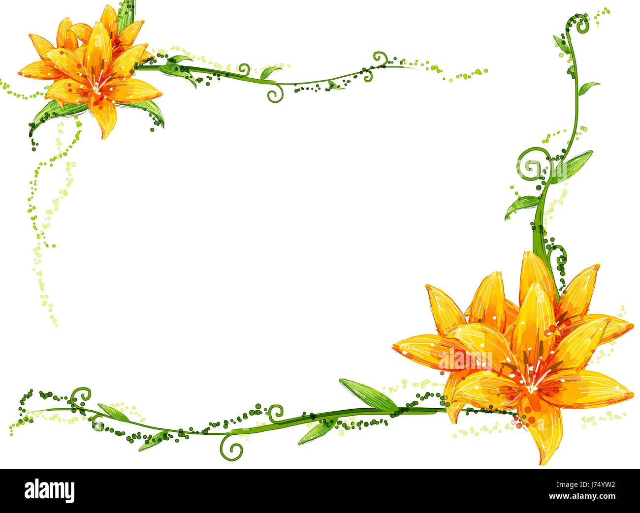flower plant leaves foliage beautiful beauteously nice leaf detail art ...