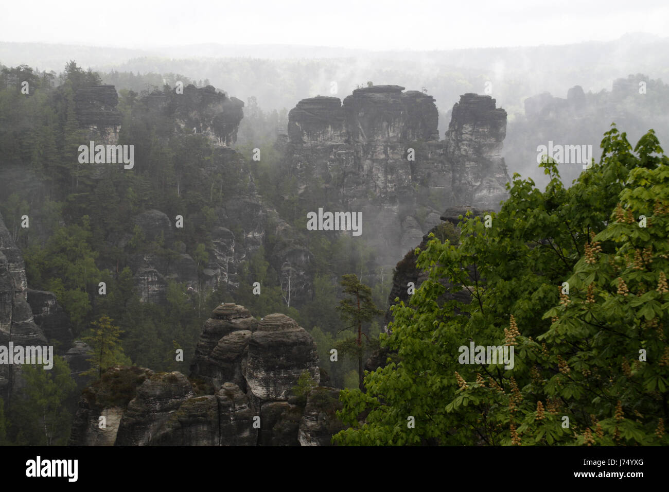 rocks on the bastei (saxony Stock Photo - Alamy