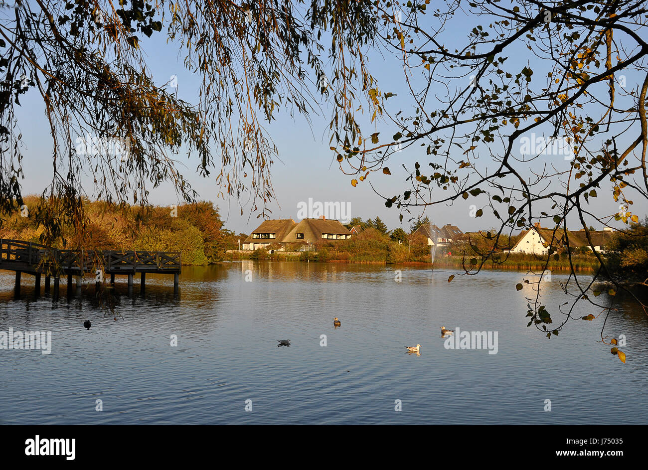 house building houses tenements ducks fresh water pond water colony ...