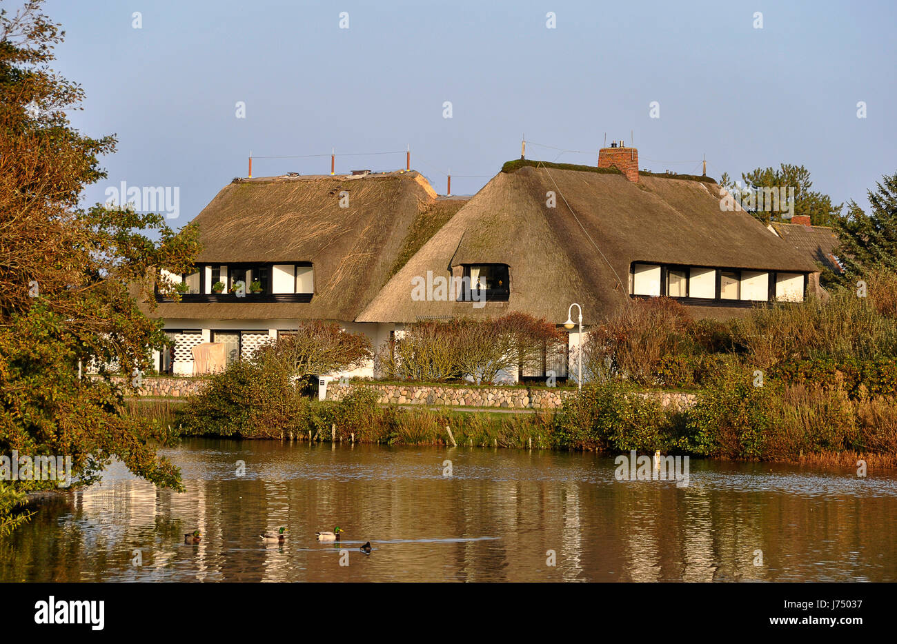 house building houses tenements ducks fresh water pond water colony ...