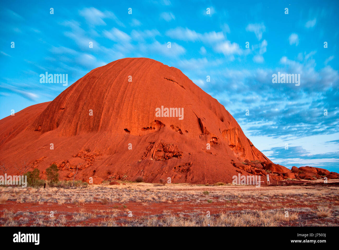australia back australian arid slim sligth lean gaunt thin blue ...