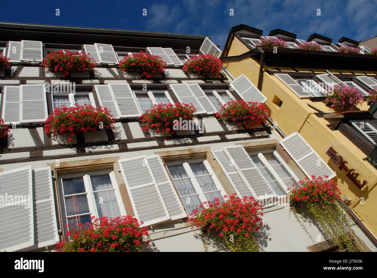 house building window porthole dormer window pane flower flowers plant ...