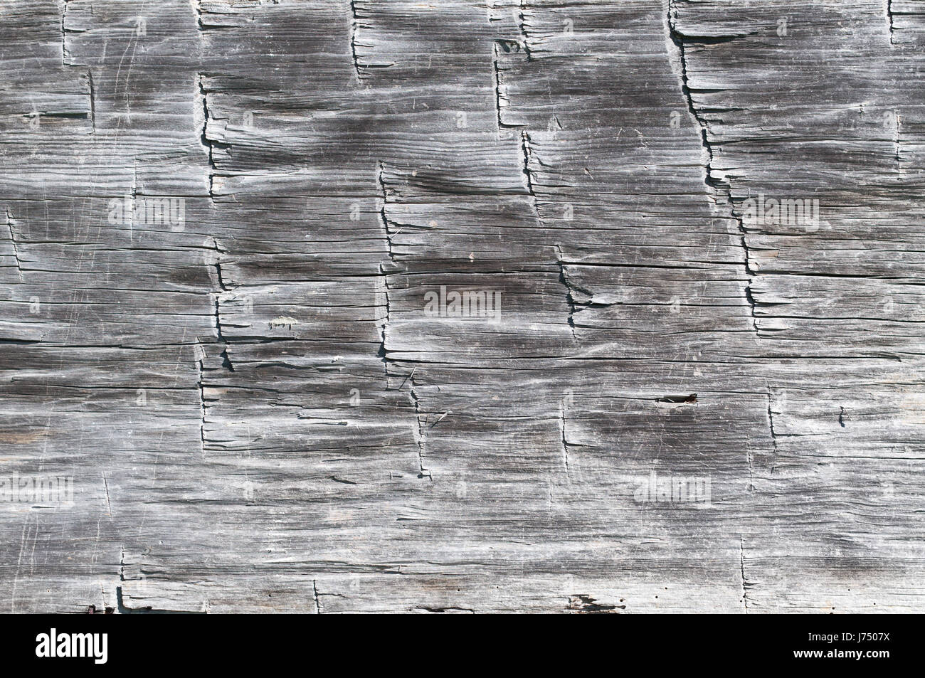 wood rough log texture closeup wood rough grain horizontal day during ...