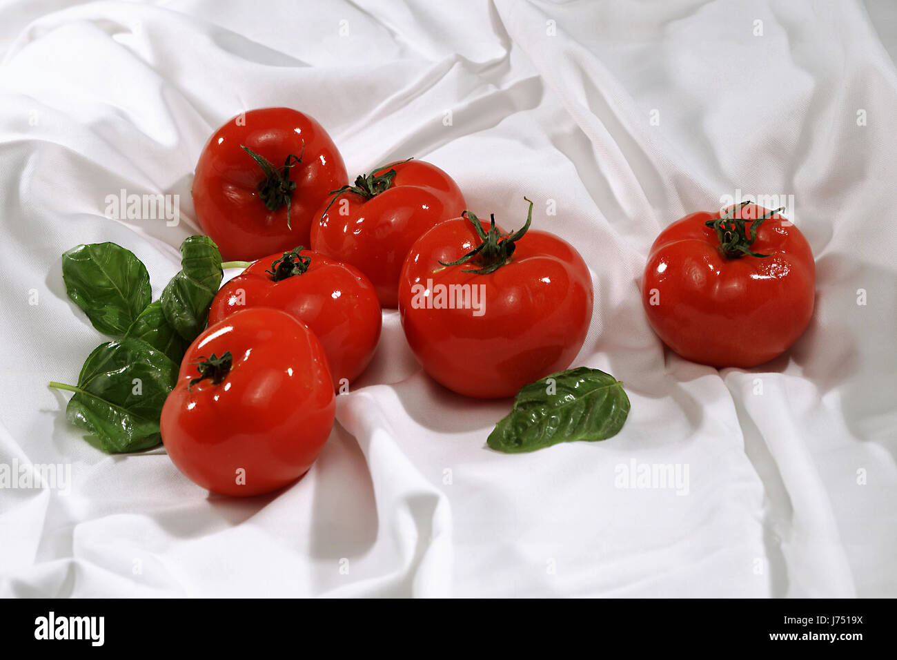food aliment vegetable diet dish meal basil tomato eating eat eats ...