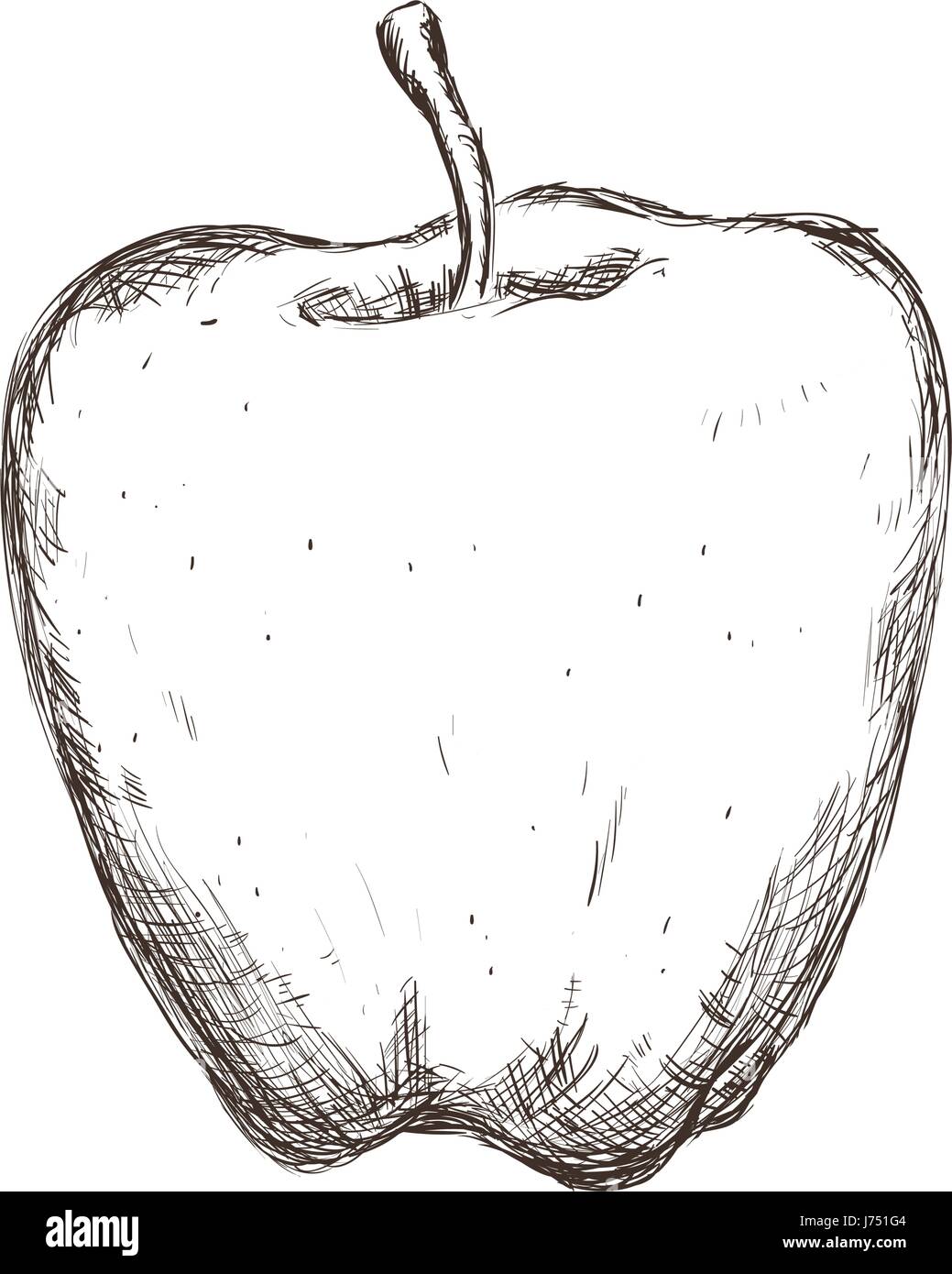 Apple fruit draw Stock Vector Image & Art - Alamy