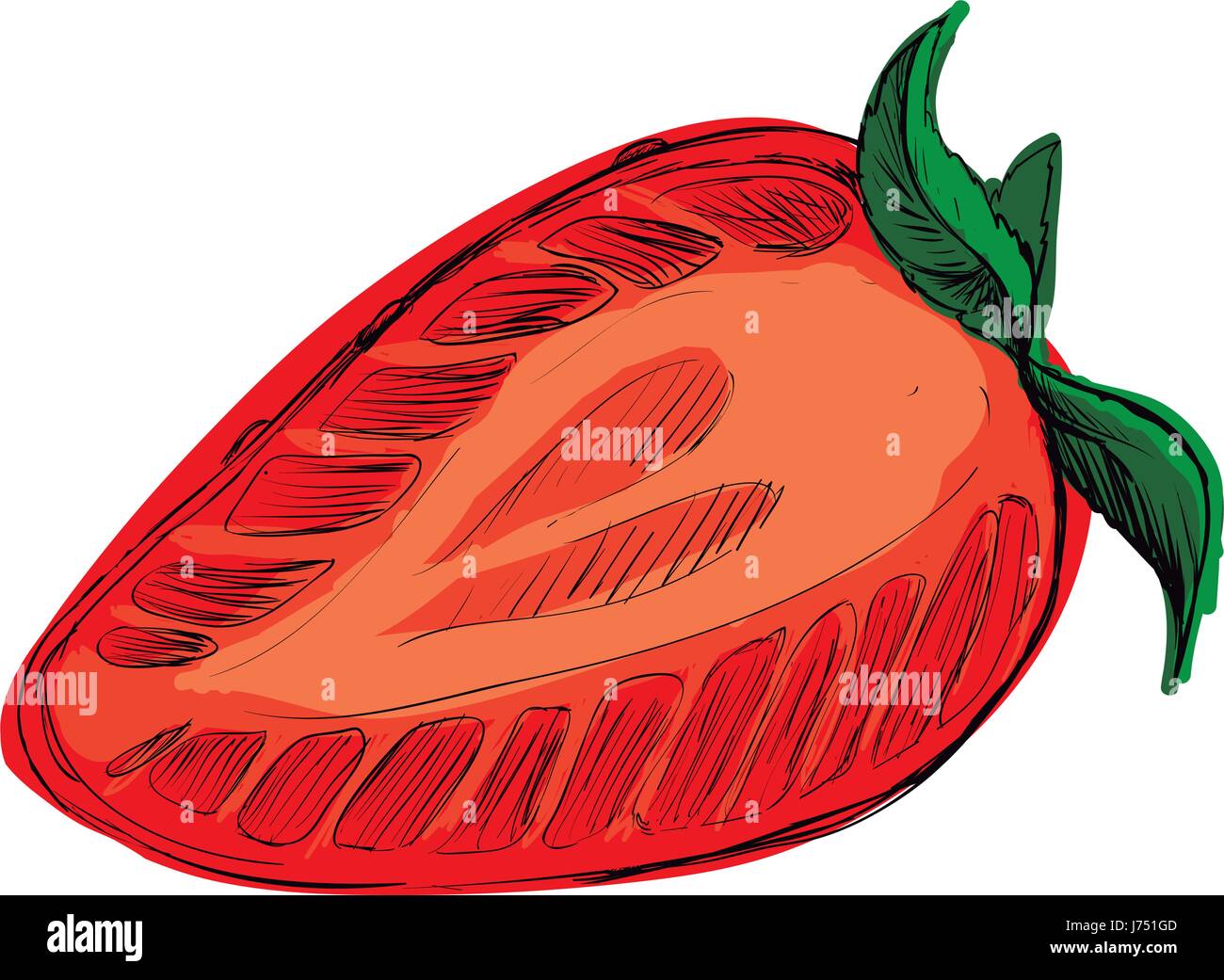 strawberry fruit draw Stock Vector Image & Art - Alamy