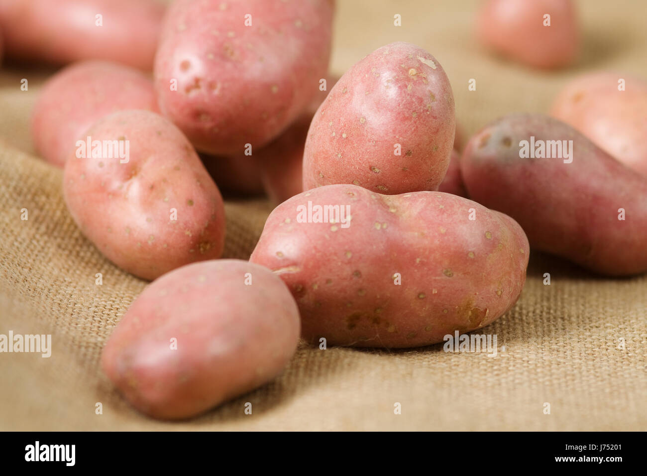 Six potatoes hi-res stock photography and images - Alamy