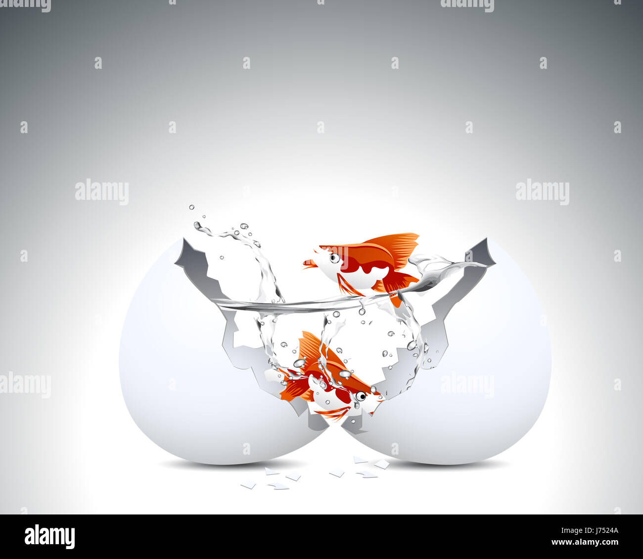 egg eggshell crack cutout broke fissure backdrop background object ...