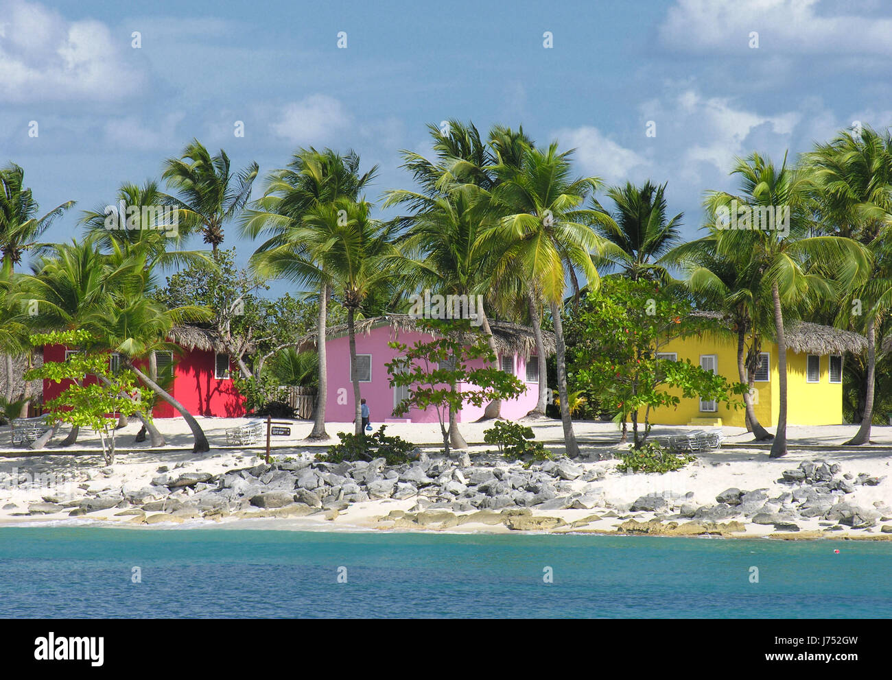 house building flower rose plant style of construction architecture ...