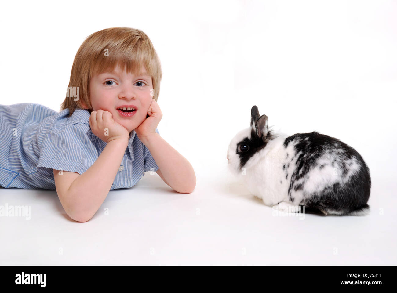 animal pet rabbit young younger rabbits blue laugh laughs laughing twit ...