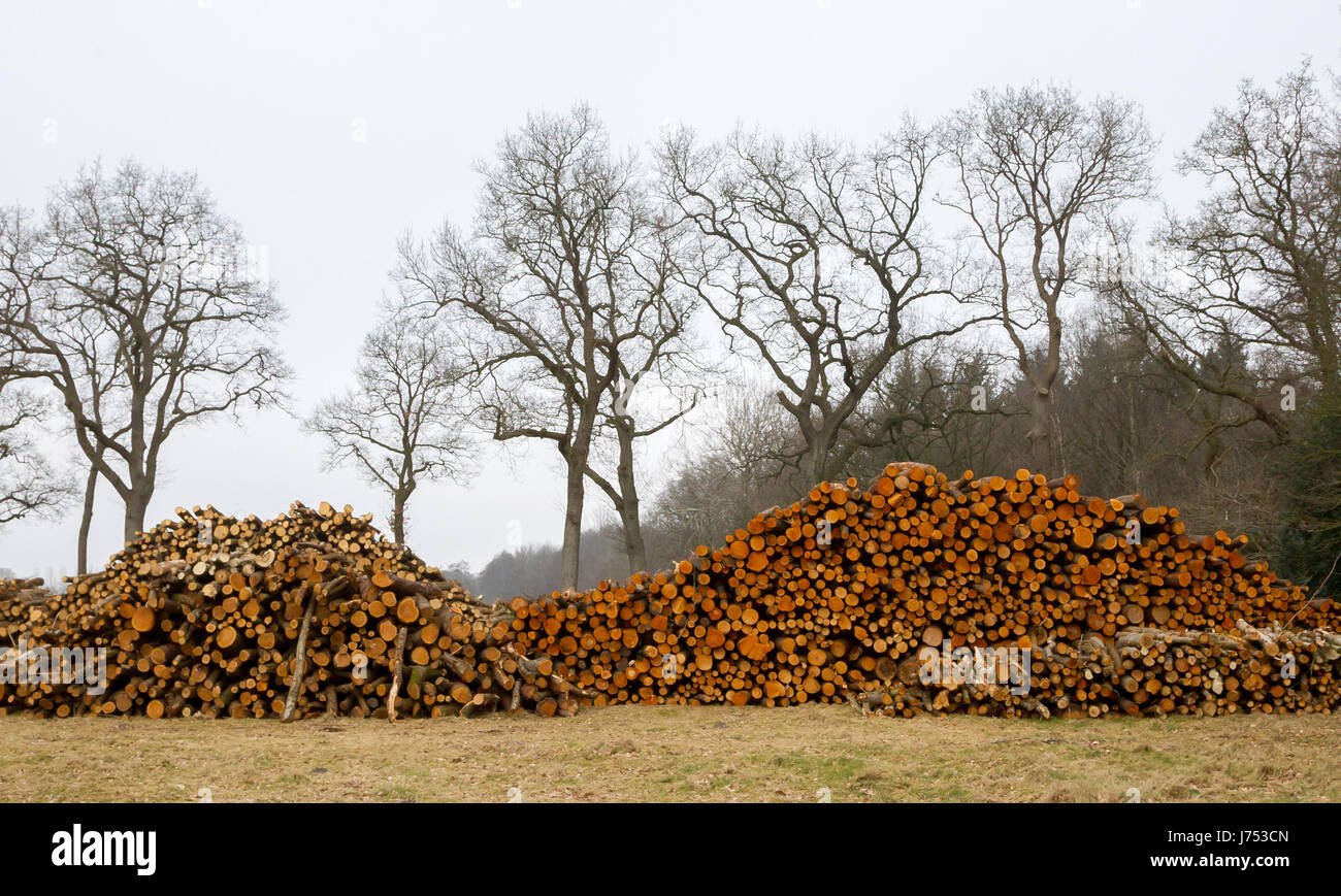 Stacked timber in dutch hi-res stock photography and images - Alamy