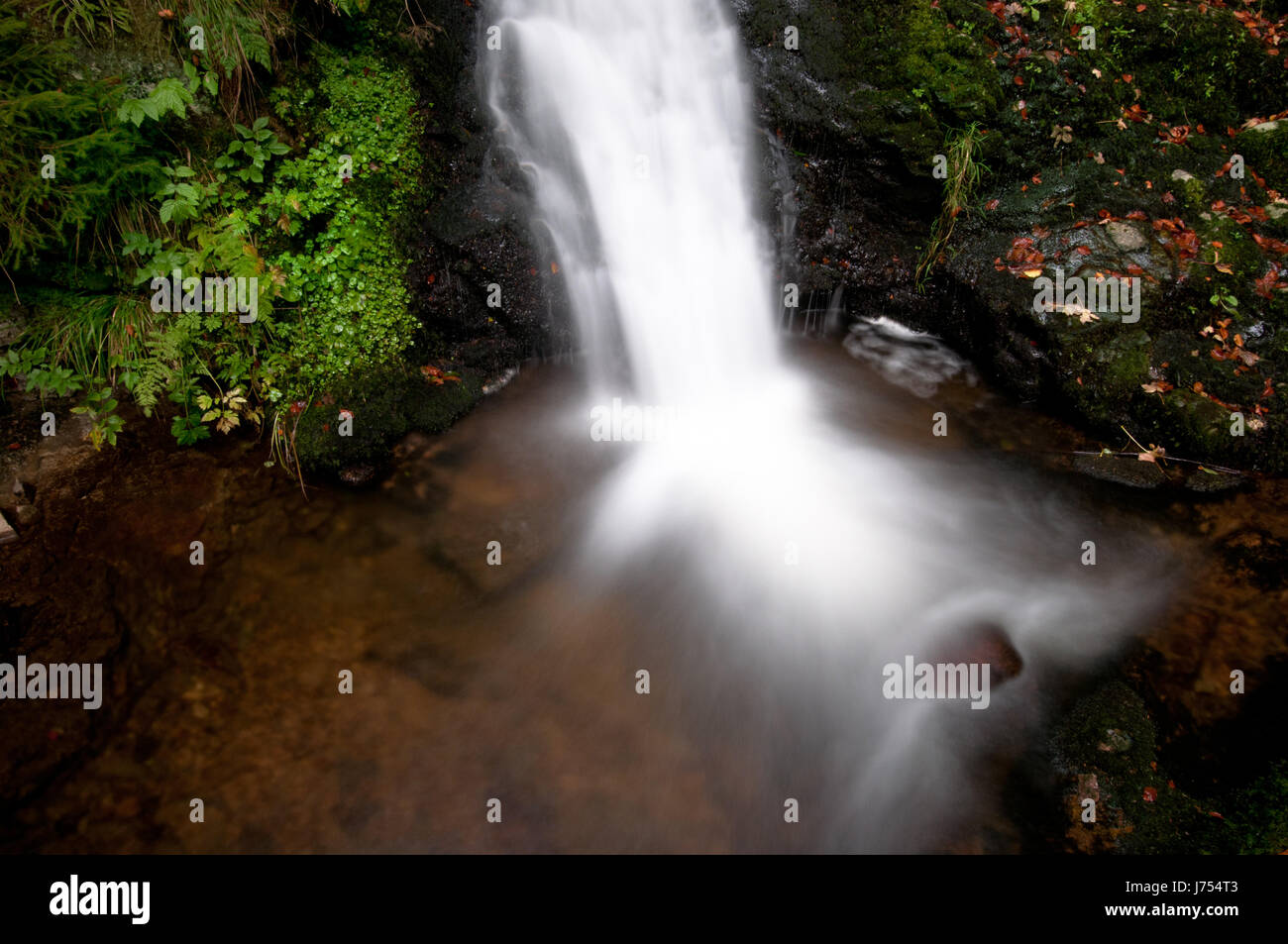 waterfall in the black forest Stock Photo - Alamy