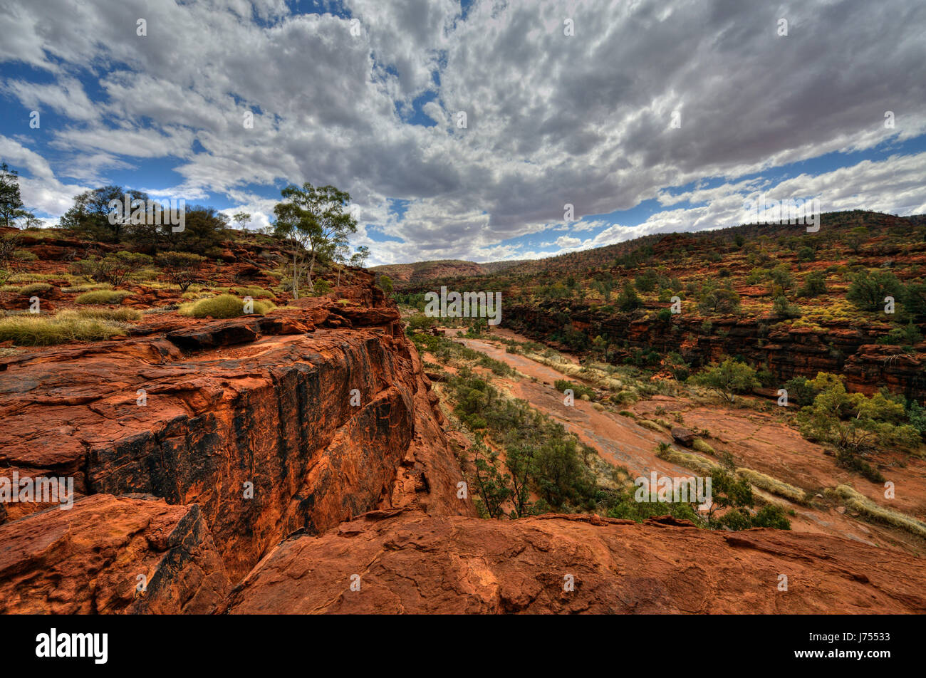 Palm valley finke gorge hi-res stock photography and images - Alamy