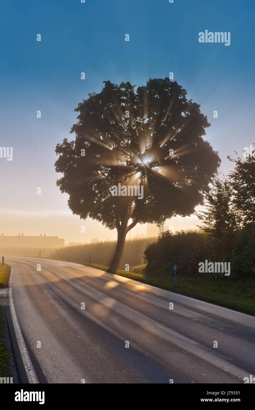 against the light Stock Photo - Alamy