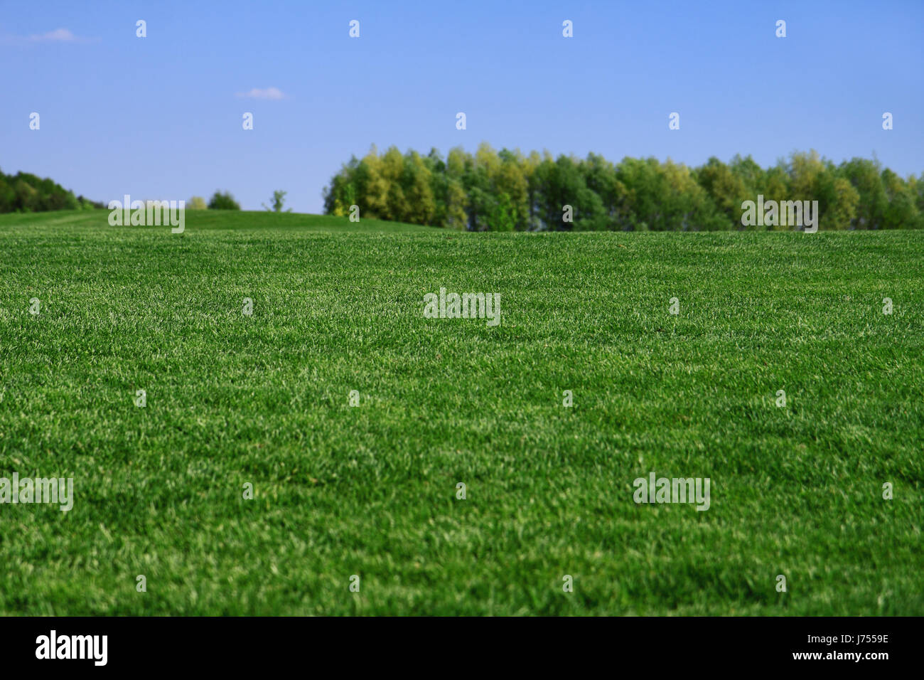 sport sports park horizontal landscape scenery countryside nature golf ...