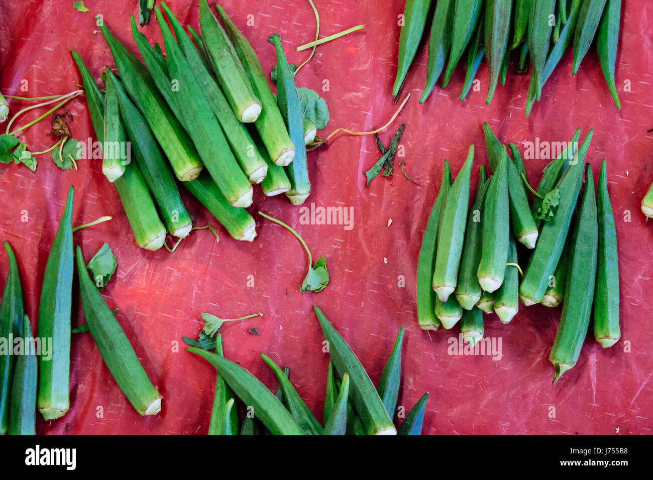 Bundles of Okra being sold at a local market in Tangalle, Sri Lanka ...