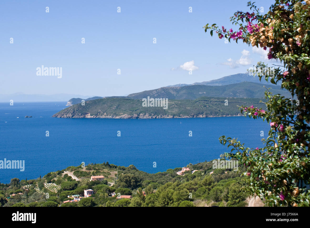 blue water mediterranean salt water sea ocean blossoms bleed isle ...