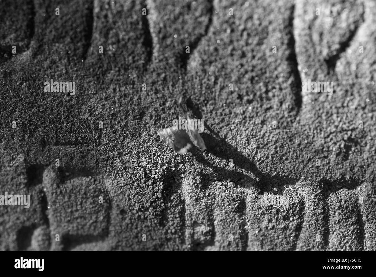 memorial stone cemetery gravestone tombstone writing font typography ...