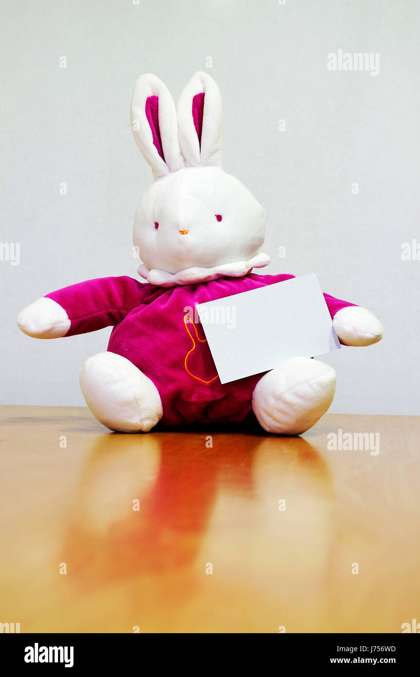 rabbit bunny bunnies card empty sheet of paper paper note memo animal ...